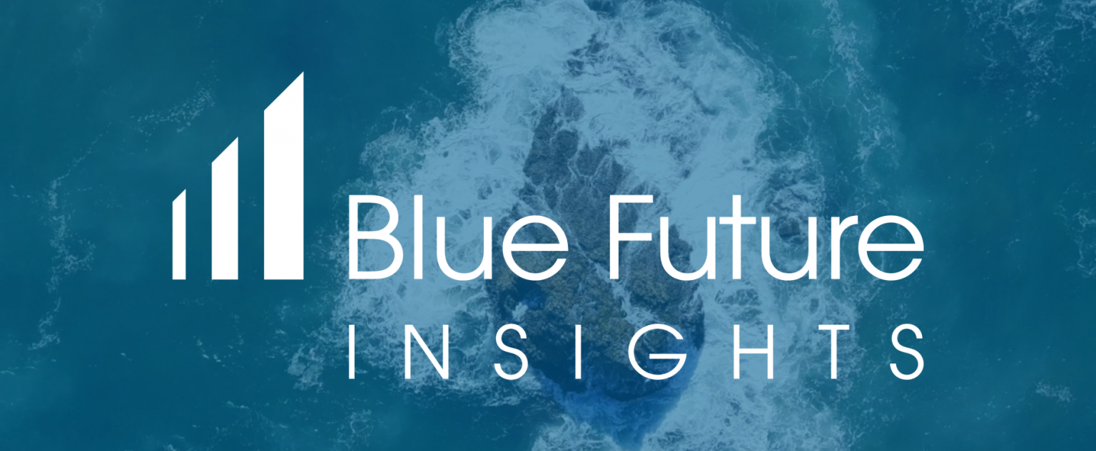 How we assess fund investments: MoIC and DPI - Blue Future Partners